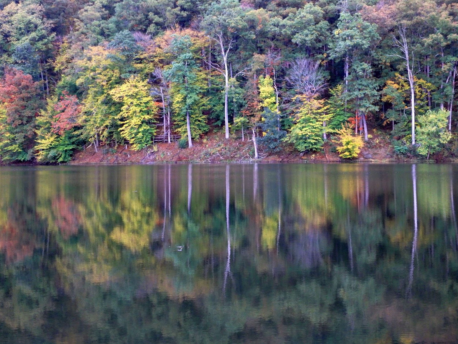 PAMPERED PENGUIN: October 23-26, 2017 Pike Lake to Forked Run State ...