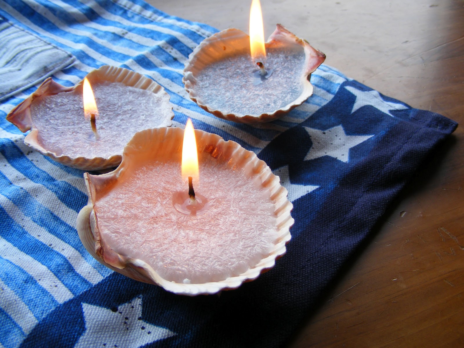 BEARSHAPED: Happy Summer! -- Sea Shell Candles