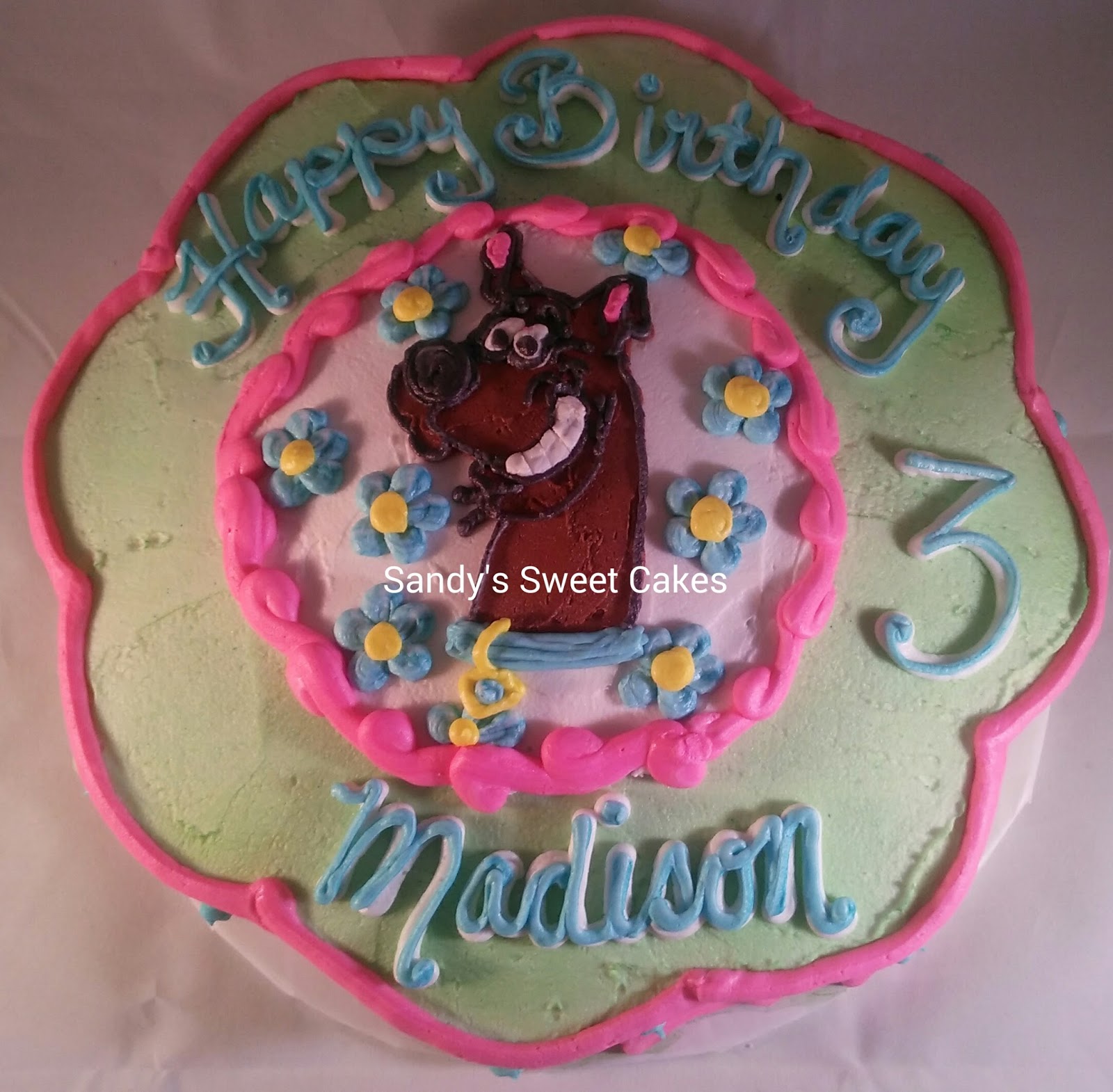 Sandy's Sweet Cakes: Scooby Doo girl birthday cake