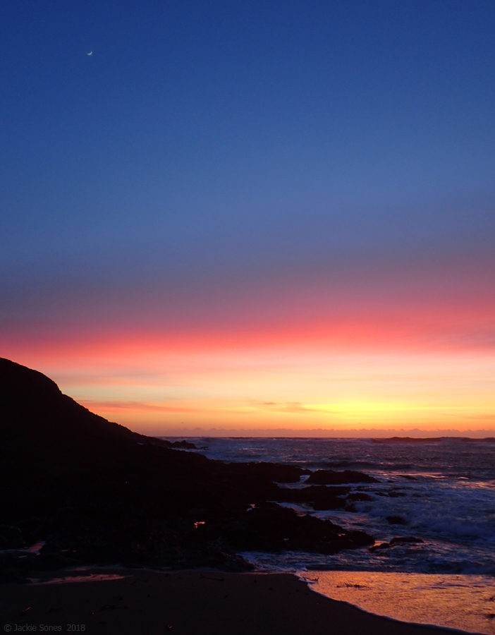 The Natural History of Bodega Head: Moon over sunset