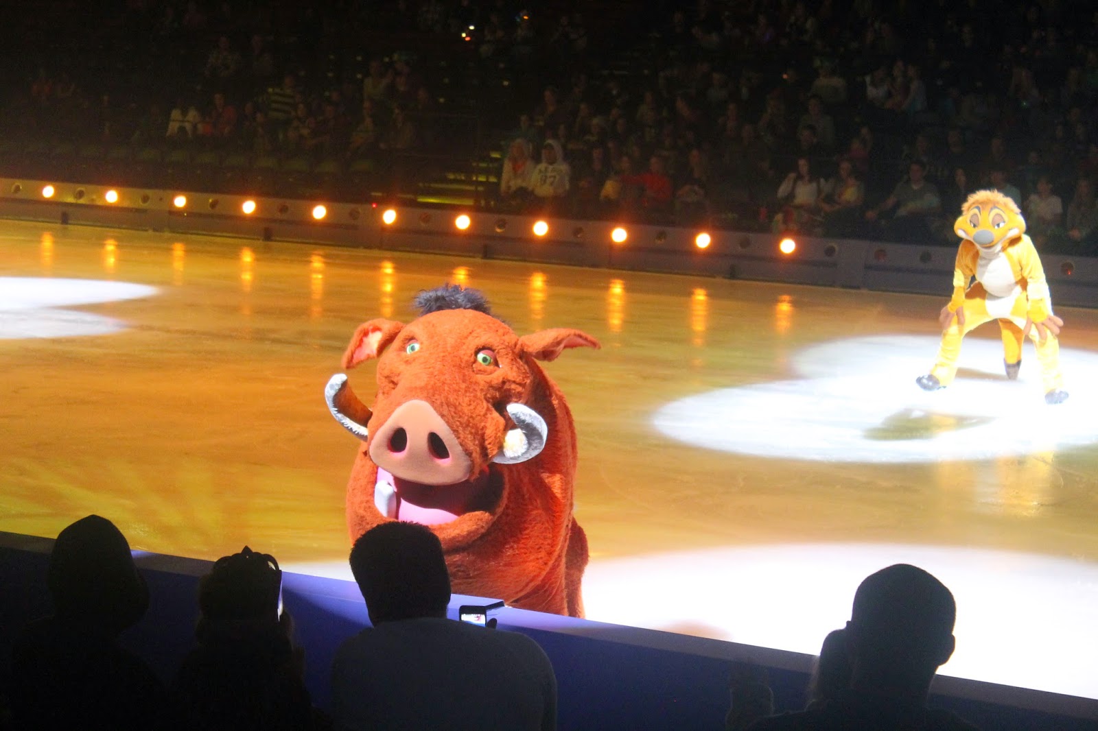 grass stains: Disney on Ice in 900 pictures or less