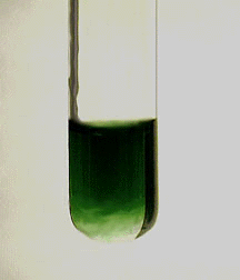 A Level Chemistry at the Alun: What colour is Chromium 3+?