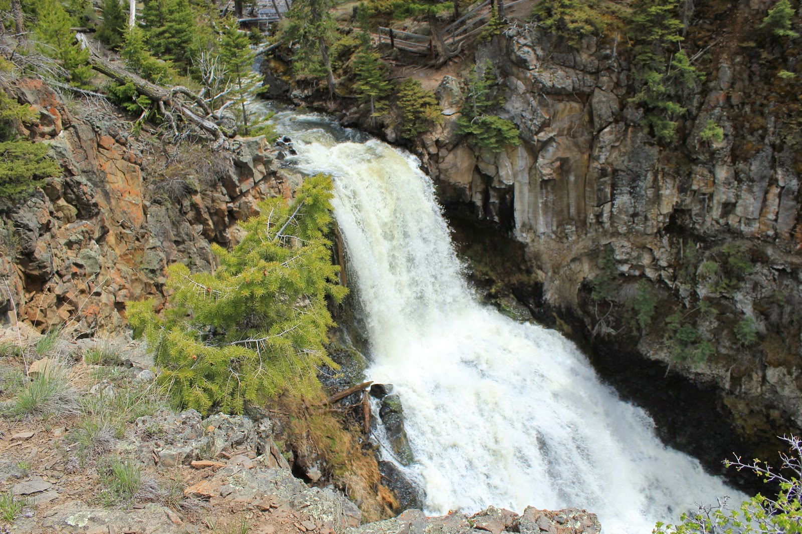 A Yellowstone Summer : My legs are jelly! Rescue Creek & Lava Creek