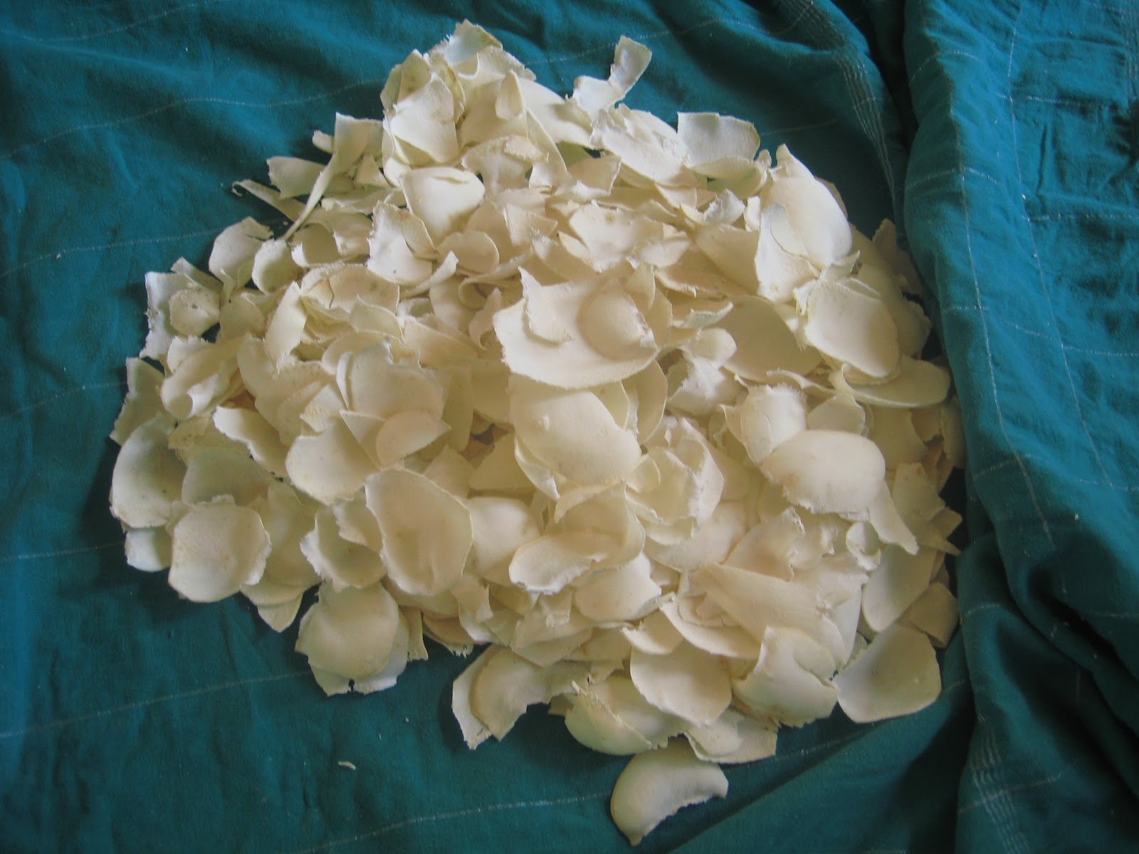 madhuri's kitchen: Tapioca Chips / Karra Pendalam Chips / cassava chips