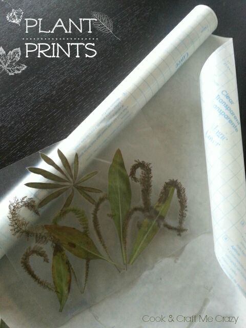 Cook and Craft Me Crazy: Plant Prints