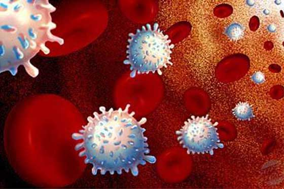 El Cuerpo Humano: Inmunidad natural y adquirida