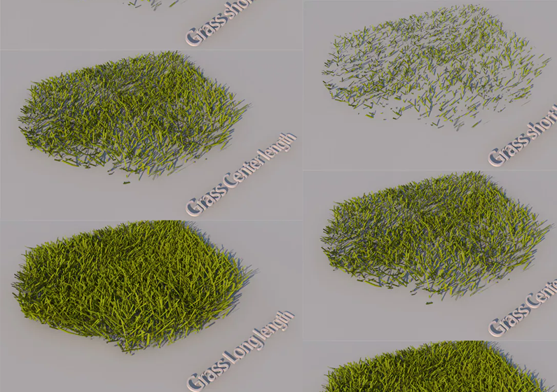 Grass - different forms | Layth Jawad
