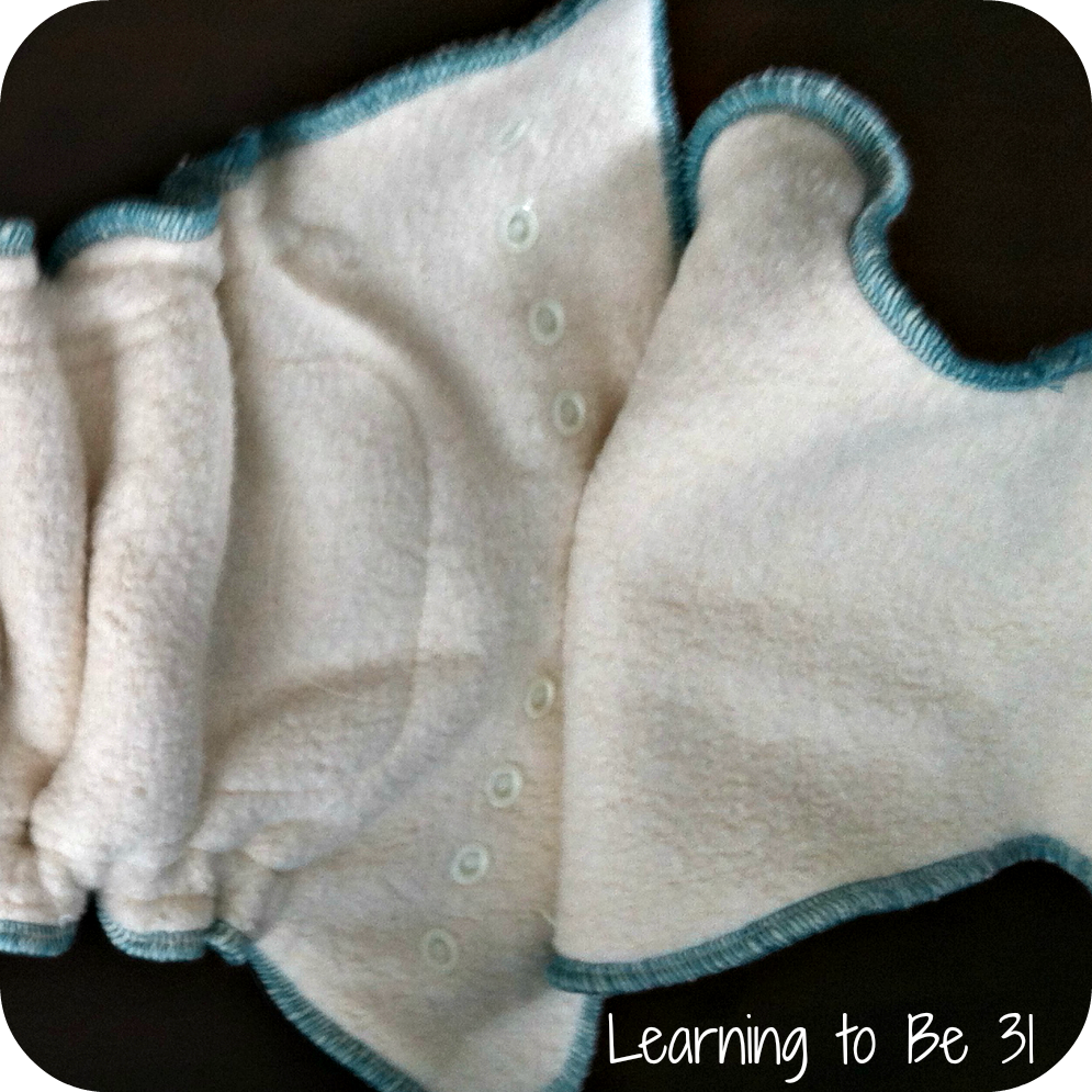 Learning to Be 31: Wool Diapers: Not as Scary or Difficult as You Might ...
