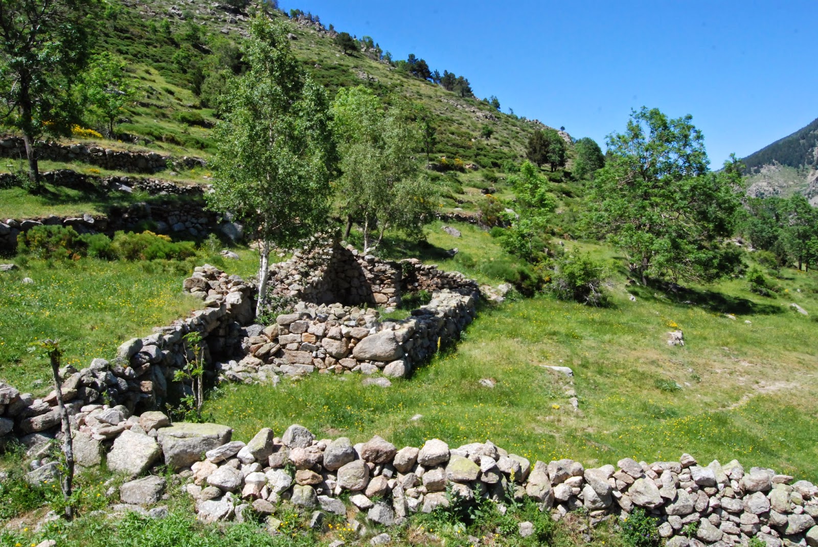 Mantet des de Vall Ter