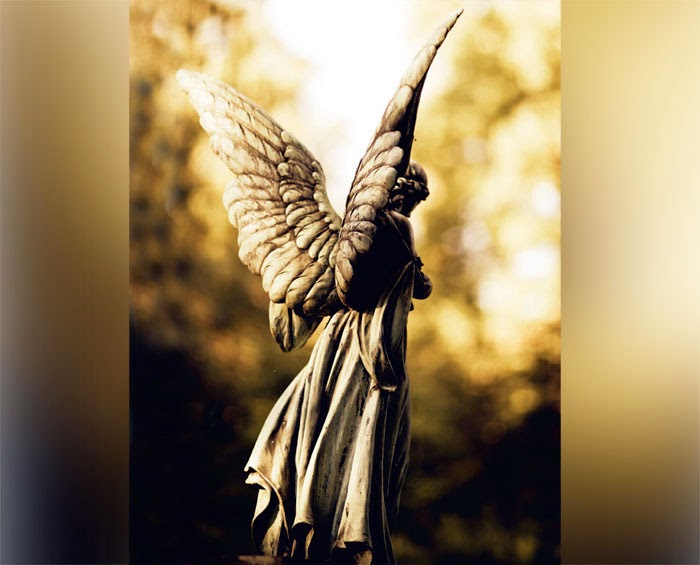 Júh Araújo: Anjo, Arcanjo, Querubim e serafim