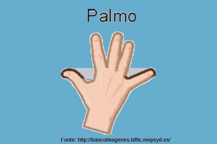 Turma do 7 ano D : As Primeiras Medições