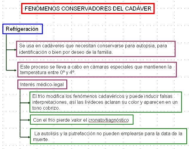 Momificación, saponificación, corificación, congelación ...