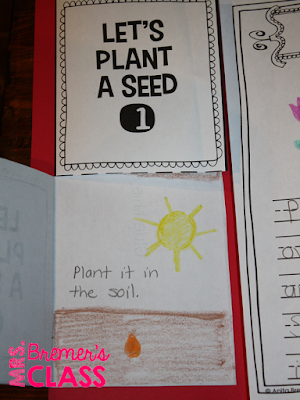 Plant Lifecycle Lapbook | Mrs. Bremer's Class
