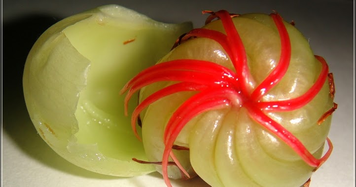 The fruit of the catmon tree