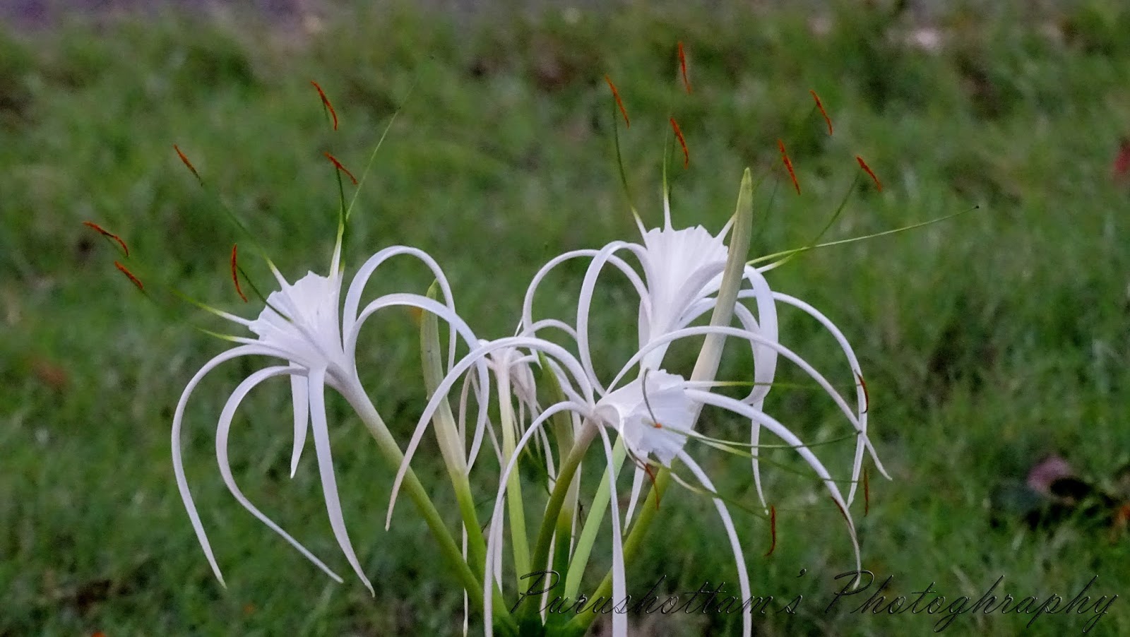 My Travel Photography...: Jindal's Vidya Nagar Township, Toranagallu