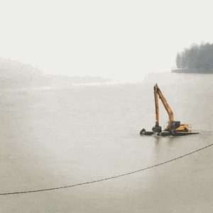 Visual Consumer: Row, row, row your boat