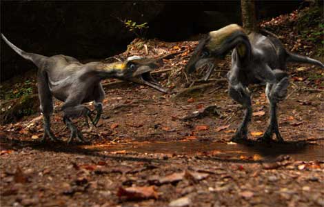 Dinosaurios: Coelurus