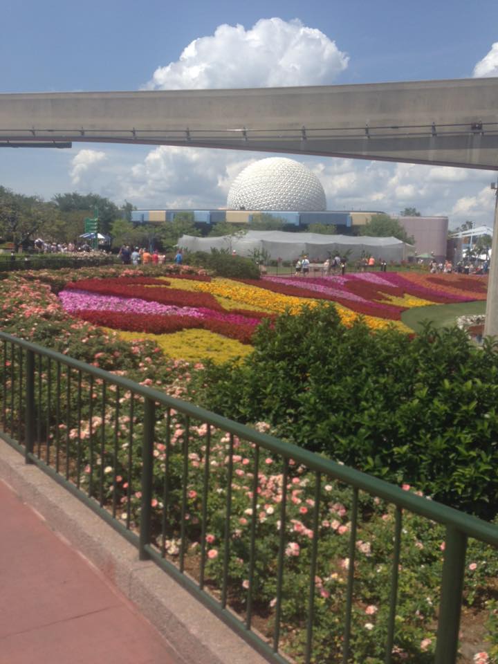 DoingTheDiz: Adulting in Disney: Epcot's Flower and Garden Festival 2016
