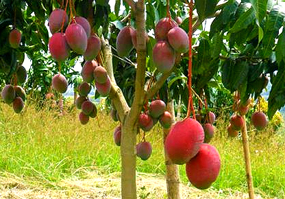 Guerrero: Geomorfología