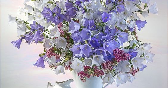 Studio Floral Dora Santoro: Amores