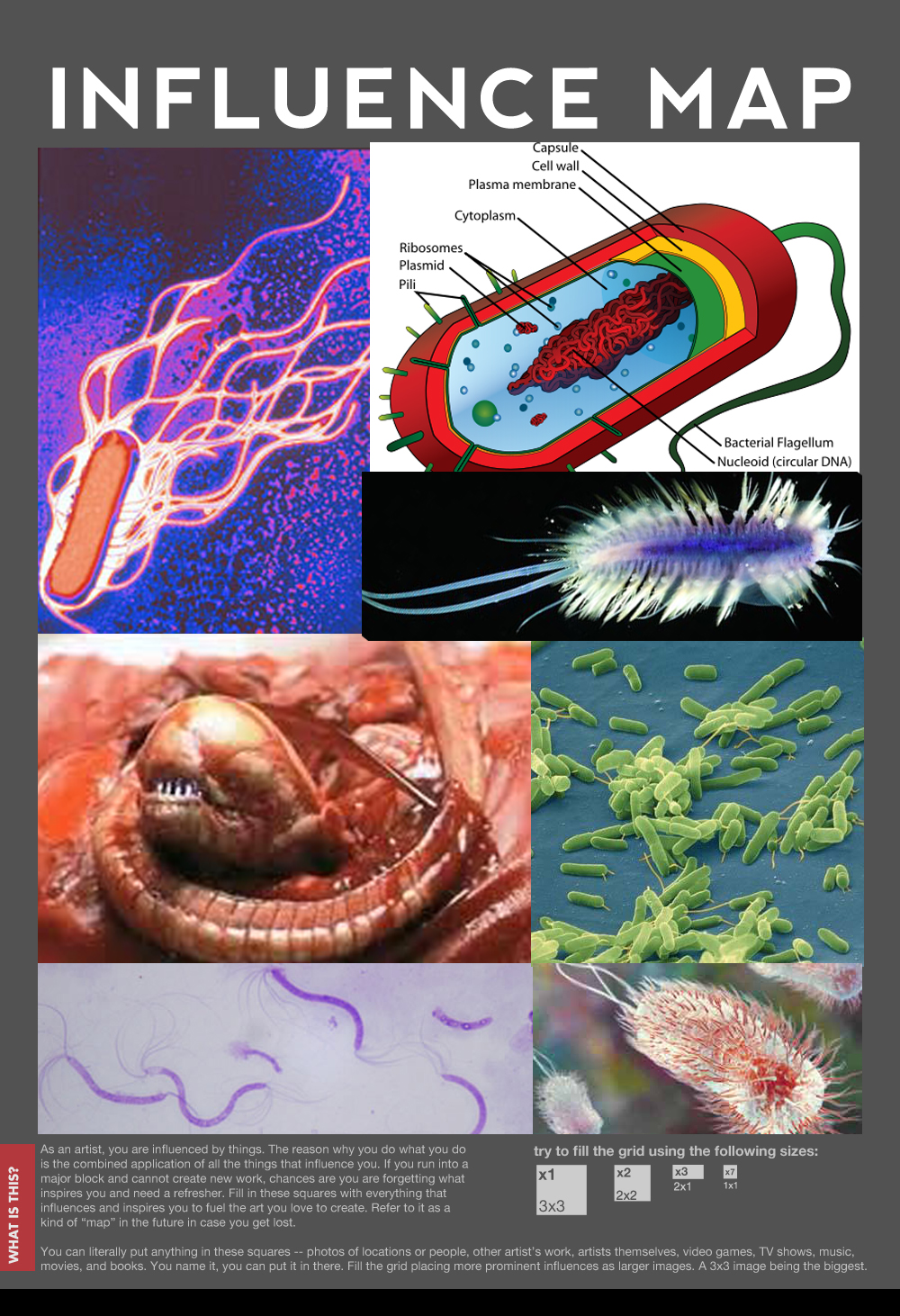 Katy J Negus. BA Hons. CG Arts & Animation: Defined Influence Maps