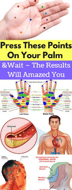 Press These Points On Your Palm And Wait – The Results Will Amazed You ...
