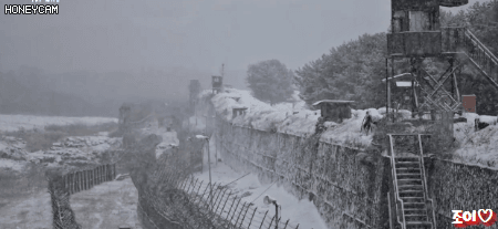 6.25라서 가져와본 DMZ의 풍경들.gif - 유머/움짤/이슈 - 에펨코리아