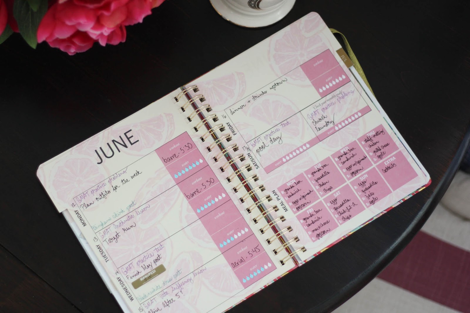 Lauren James Timeless Planner | Caralina Style