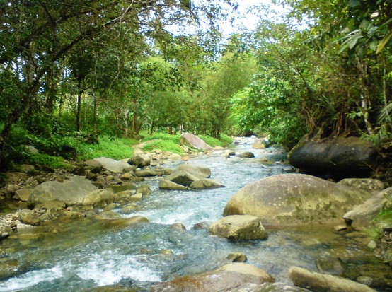 Definisi Pengertian Sungai, Alur dan Muara Sungai