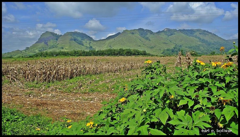 Bukidnon Photo Journal: Palaopao Mountains in Sumilao, Bukidnon