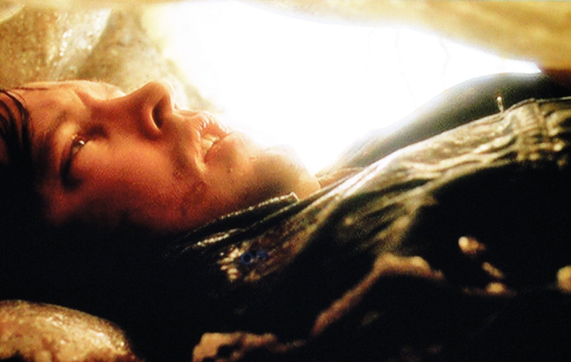 MUSINGS OF A SCI-FI FANATIC: Fire In The Sky: The Alien Encounter