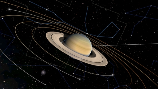 Warren Sparrow: 2015