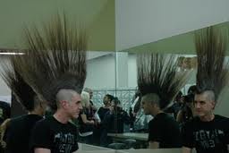The reality is Absurd !: World's Tallest Mohawk