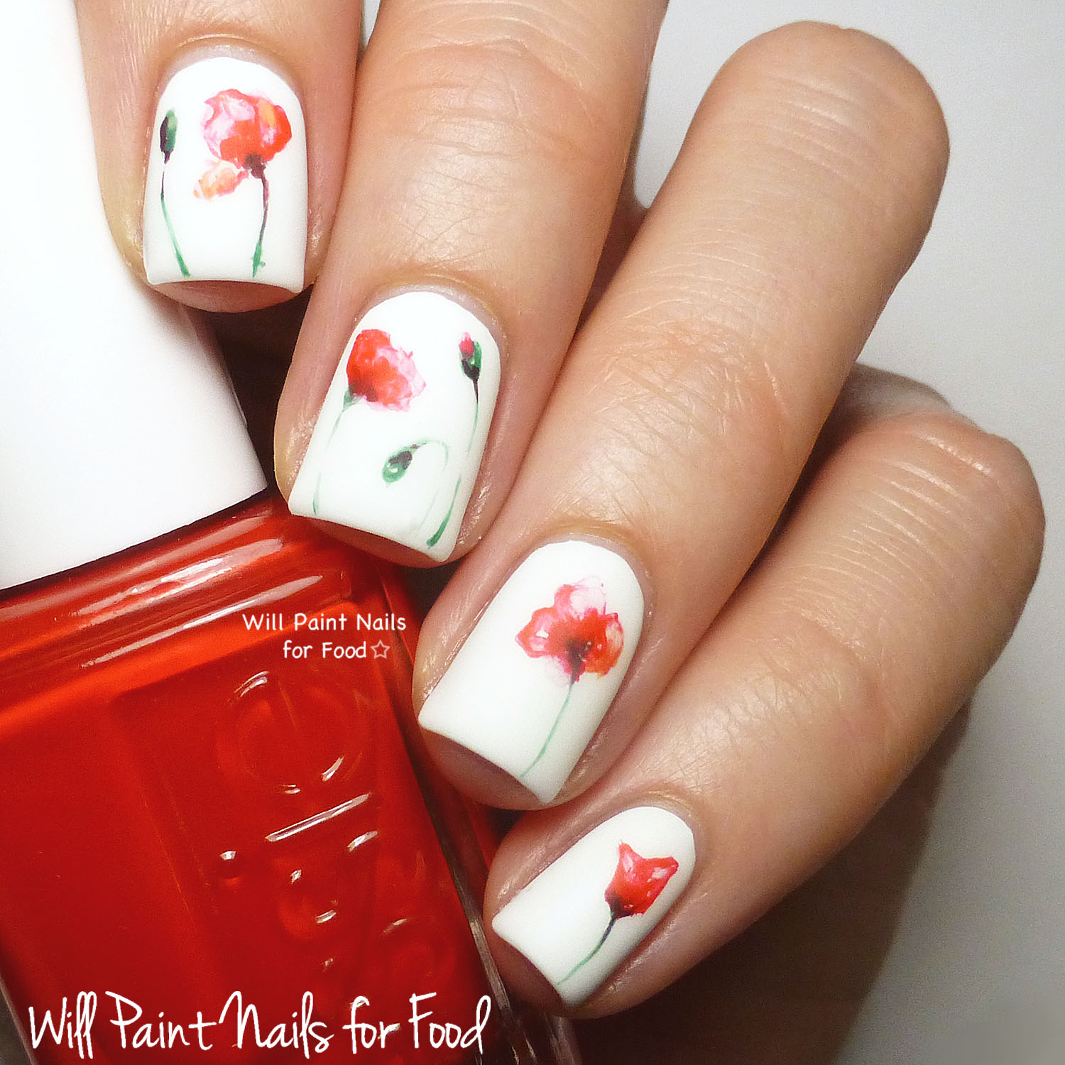 The Digit-al Dozen Does Floral: Day Four, Watercolour Poppies | Will ...