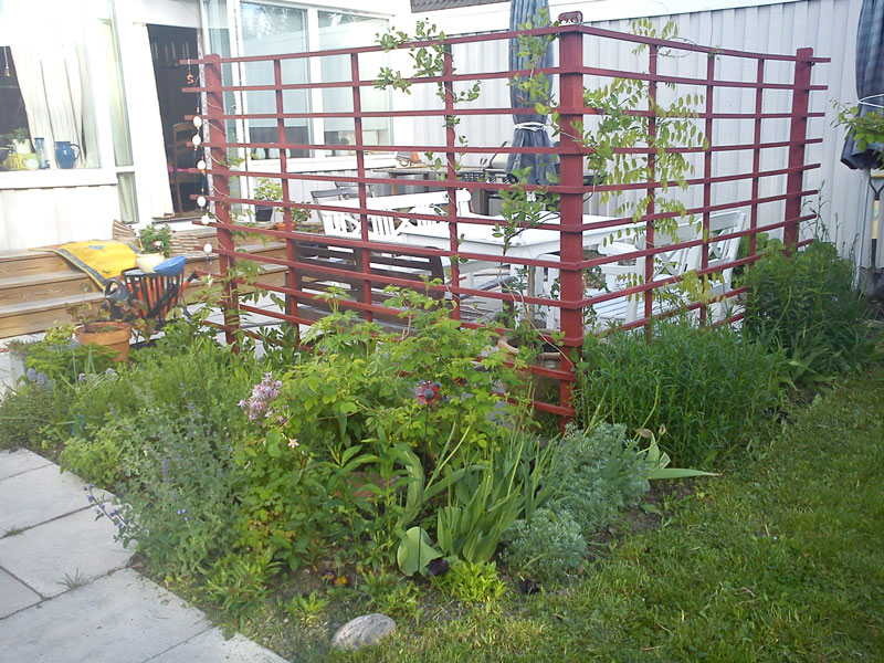 Kreativt spret: Pyssel i trädgården