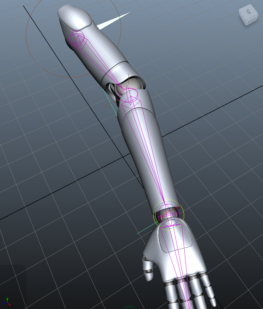 Digital 3D Modeling Animation II: Beginner's Guide to Rigging in Maya ...