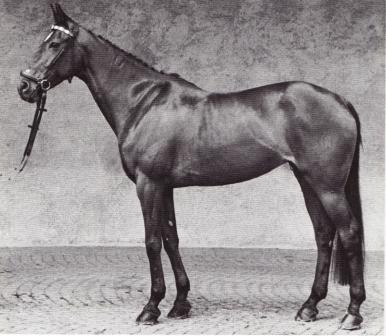 Breyer History Diva: No Star Halla