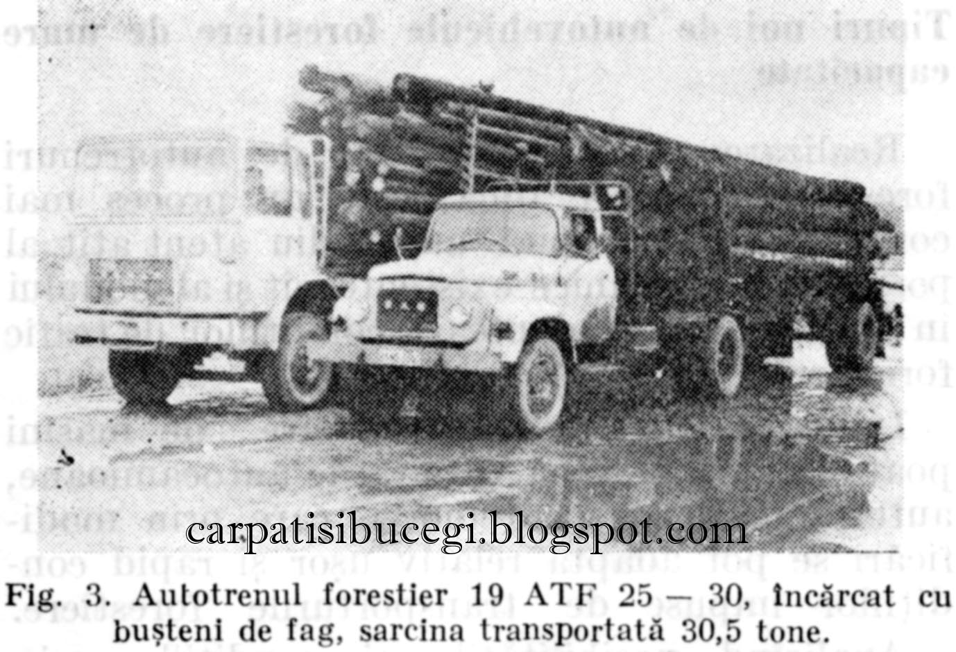 Carpati si Bucegi: SRD