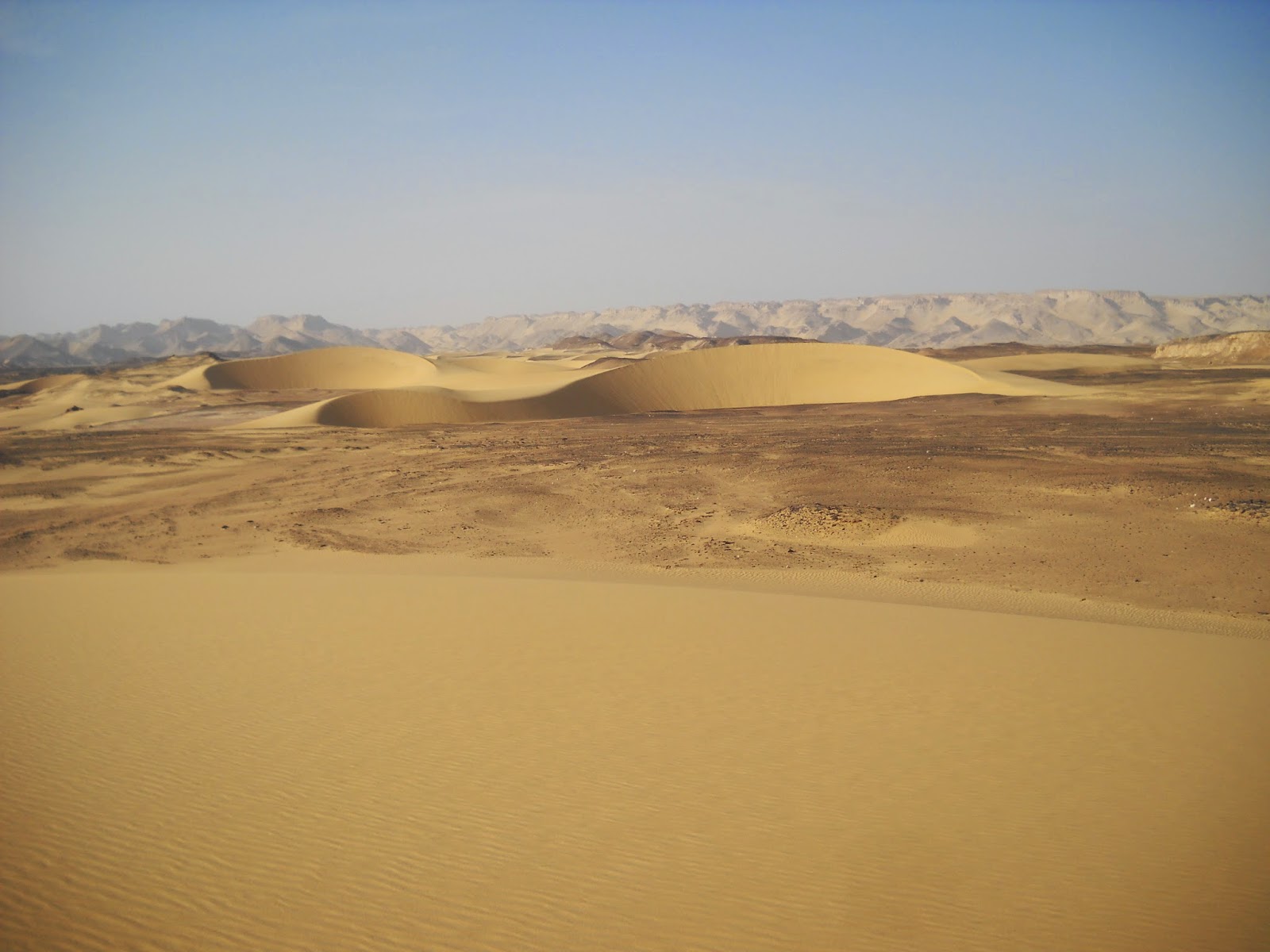 Egyptian desert: photo