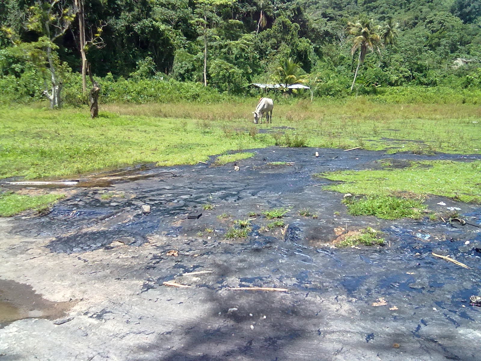 Alcaldía del Municipio Benítez: Anhelo del soberano sucrense: reactivar ...