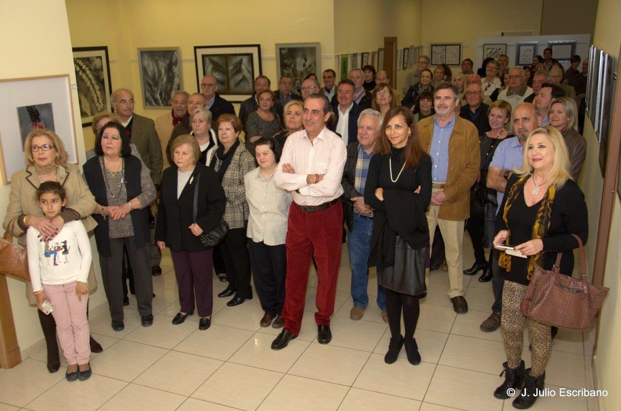 ASOCIACIÓN DE ARTISTAS ALICANTINOS: LAS “OCURRECIAS” DE DANIEL ...