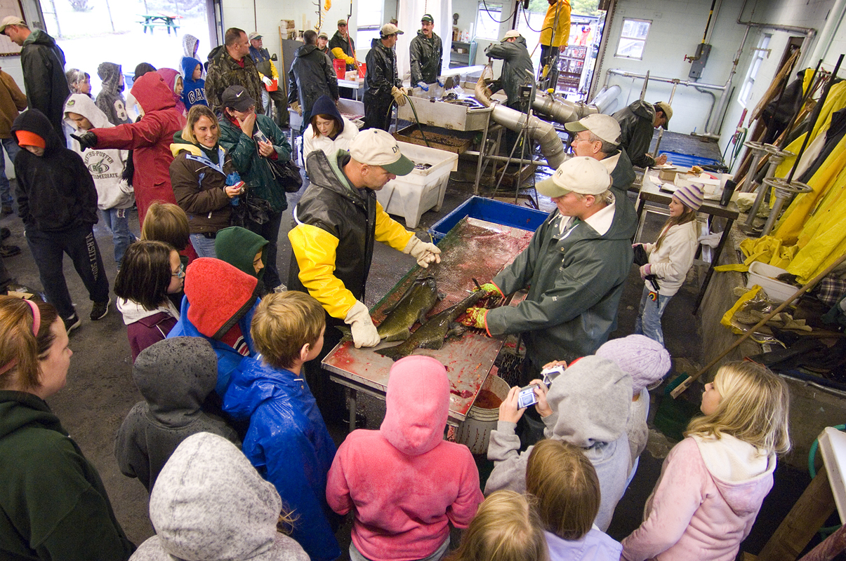 News from Newberry: Students, teachers dive into Salmon in the ...