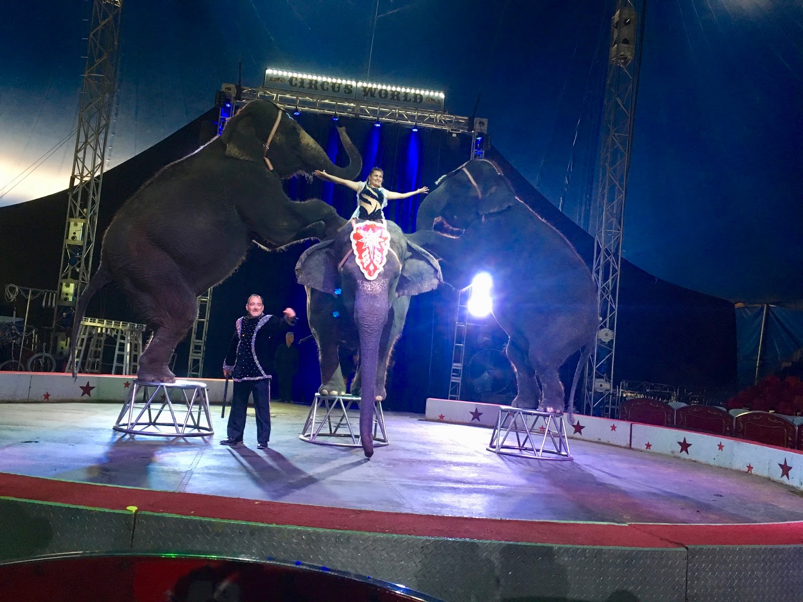 Wisconsin For Kids: Circus World Museum