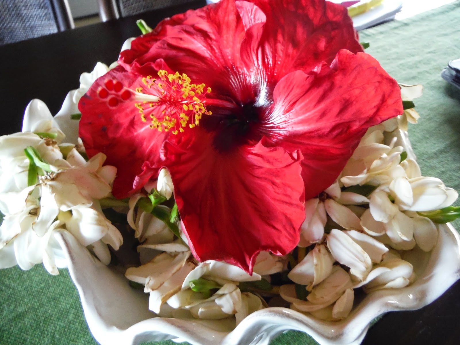 Ramirez Family: RAROTONGA, COOK ISLANDS FLORA AND FAUNA