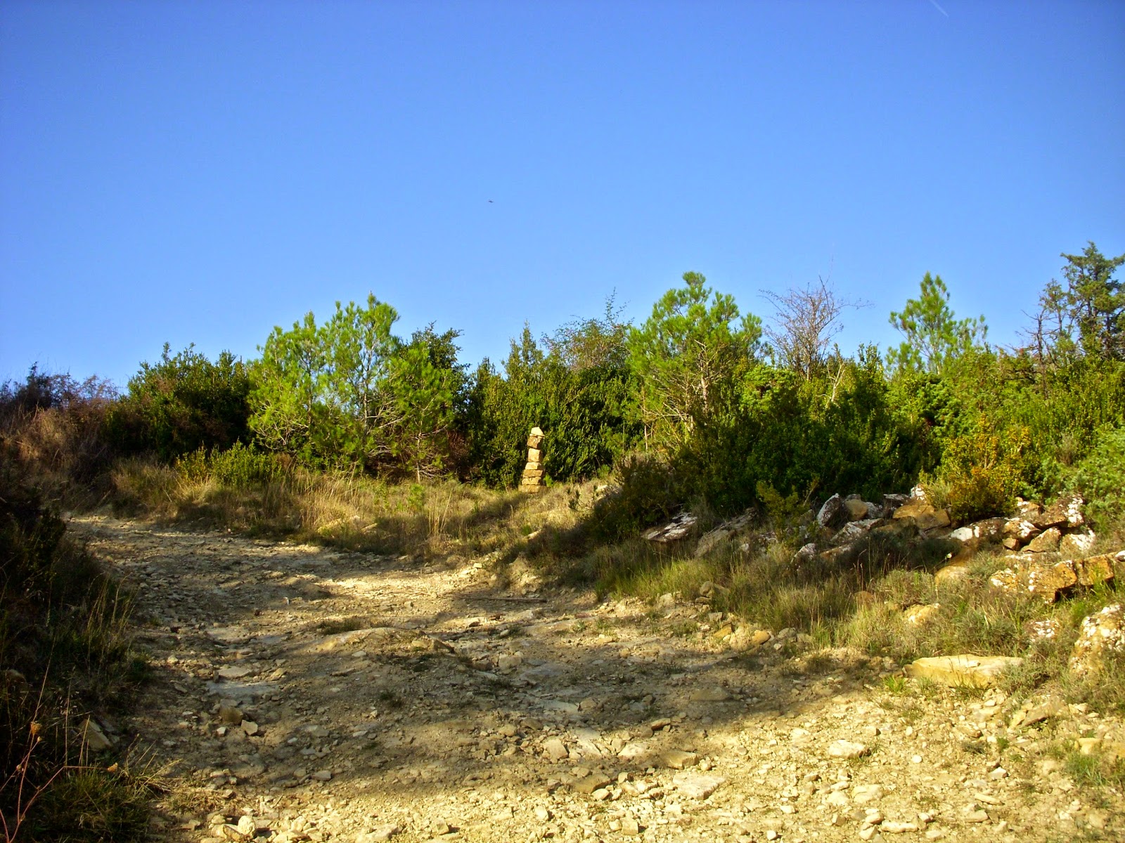Paseos de Ikandu.: Sierra de Tabar (791 metros) desde Tabar.