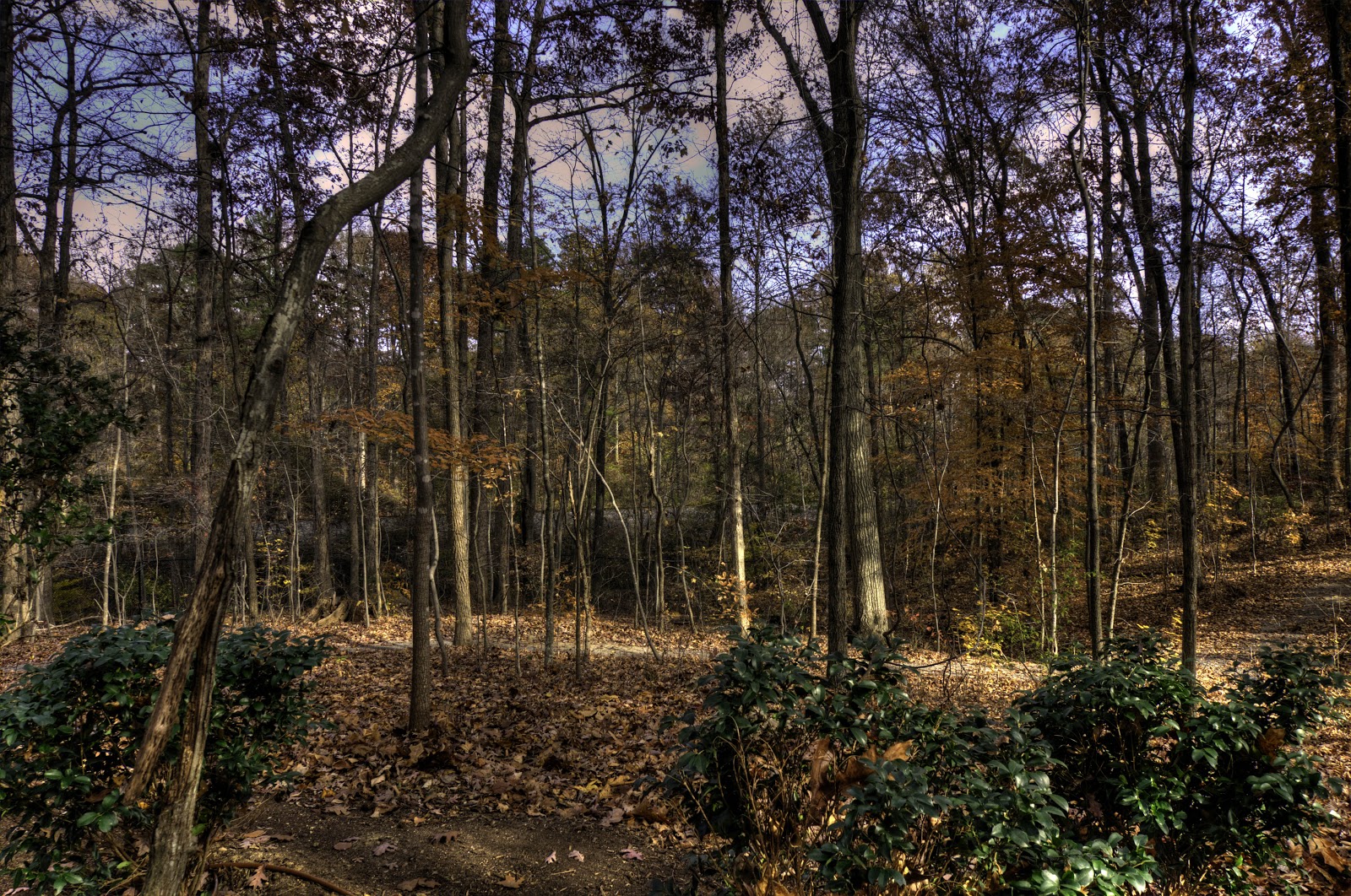 Finding Jerry And Mary Fort Mills South Carolina