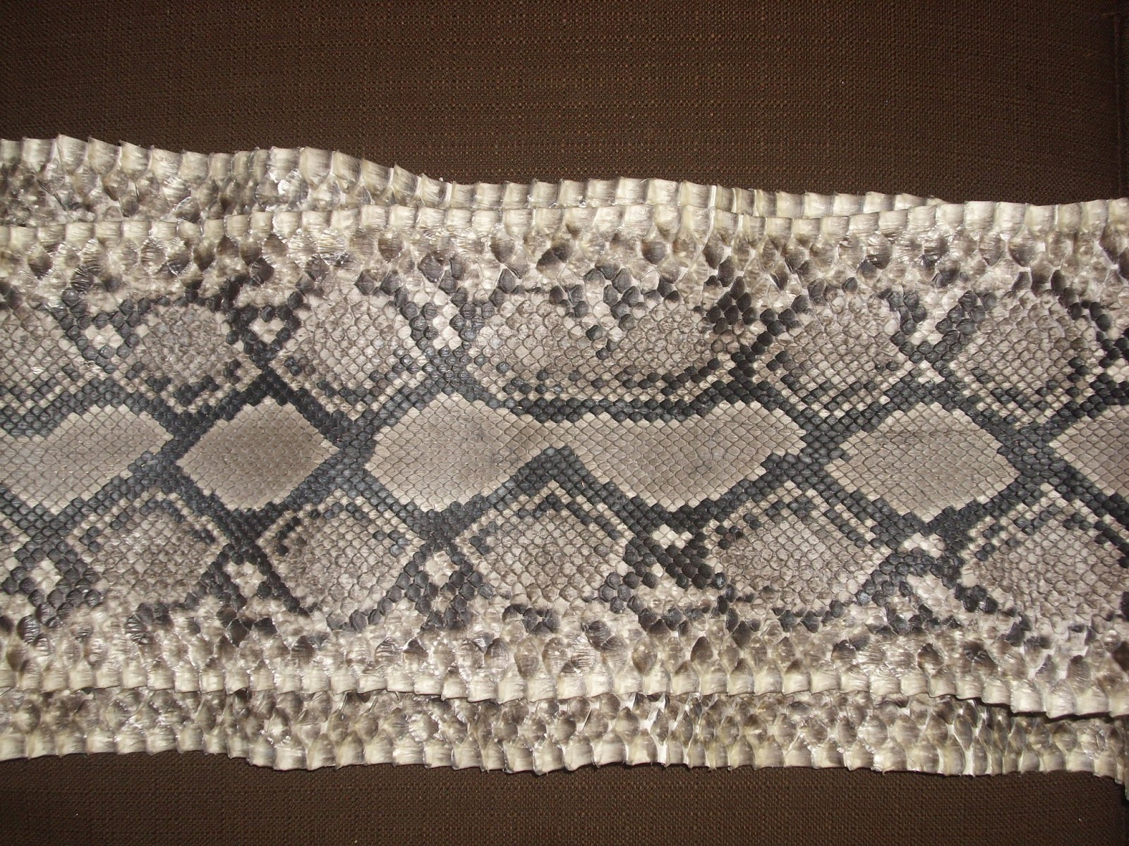 Taksidermi dan Pengawetan Kulit: Tanning Kulit Ular Sawa Batik (Python ...