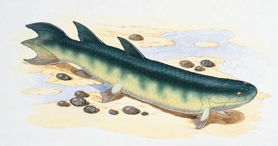 Blog de la Vida Prehistórica: Eusthenopteron