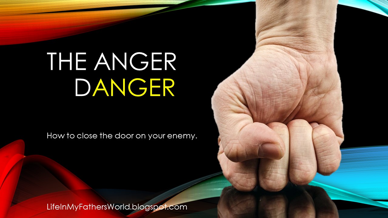 Life In My Father's World: The Anger Danger, How to Close the Door on ...