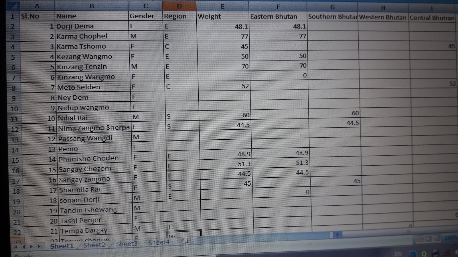 Tshering Dema ICT profile